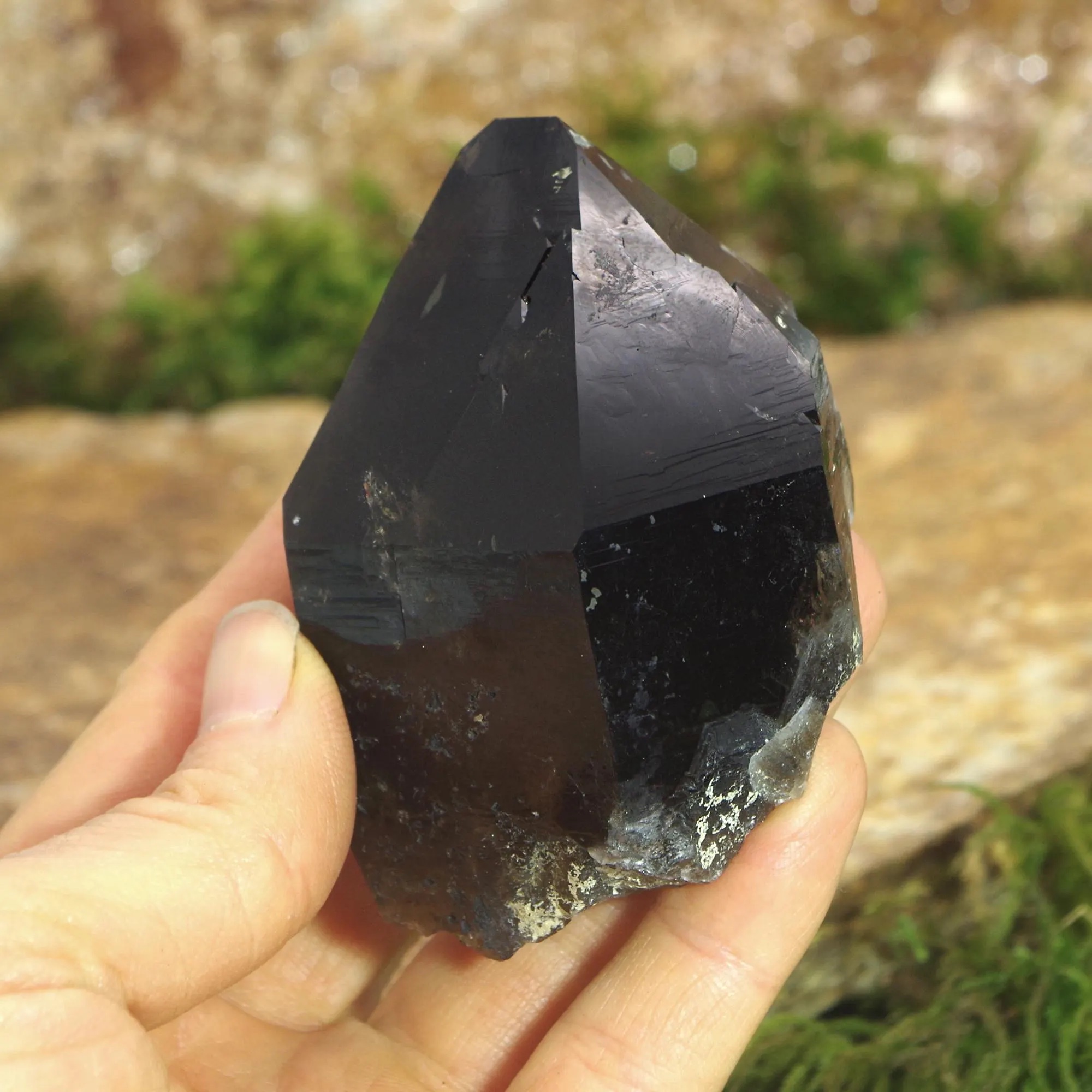 Poland Smoky Quartz Crystal Point, Cathedral, 8 Sided Face